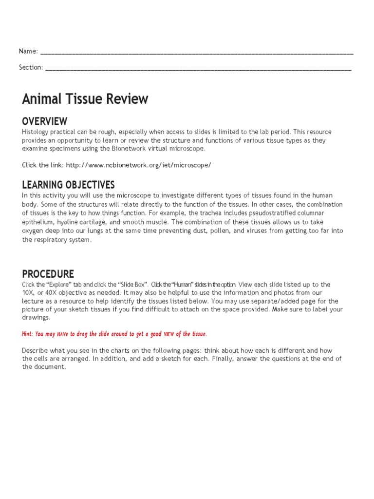 Animal Histology Activity Using Virtual Microscope | PDF | Epithelium ...