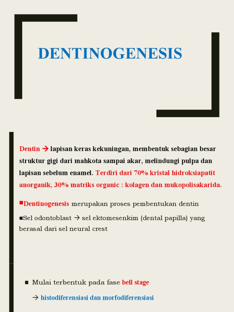 Proses Dentinogenesis dan Histodiferensiasi | PDF | Kajian Bahasa Asing ...