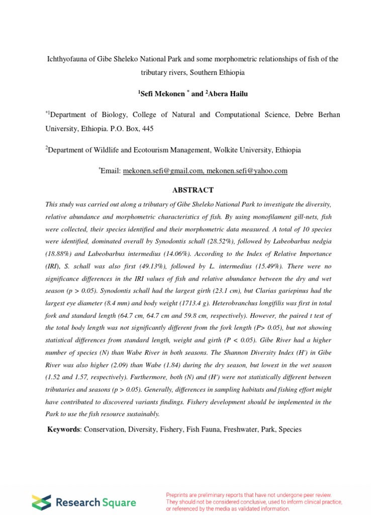 Fish Species Diversity and Morphometrics of Gibe Sheleko National Park ...