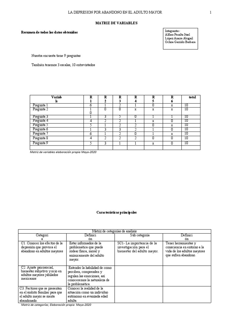 Matriz de Variables | PDF | Adultos | Vejez