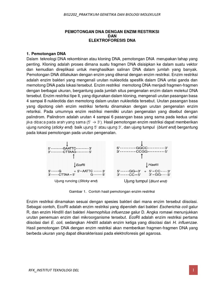 Pemotongan DNA dan Elektroforesis Agarosa | PDF