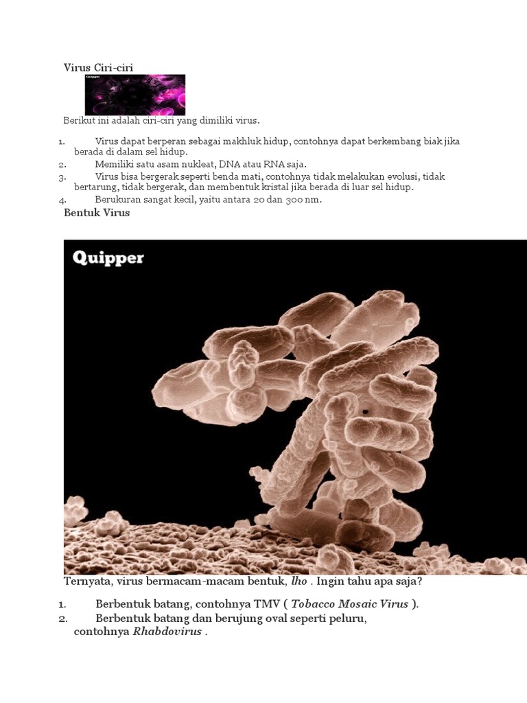 Tugas Virus | PDF | Kajian Bahasa Asing | Kesehatan Holistik