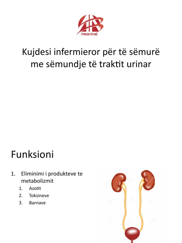 Kujdesi Infermieror Për Të Sëmurë Me Sëmundje Të Traktit Urinar | PDF