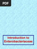 Biochemical Test and Identification of E.coli | PDF | Escherichia Coli