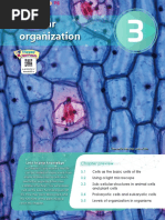 Biology S3 Yearly Exam Notes PDF | PDF | Cell (Biology) | Enzyme