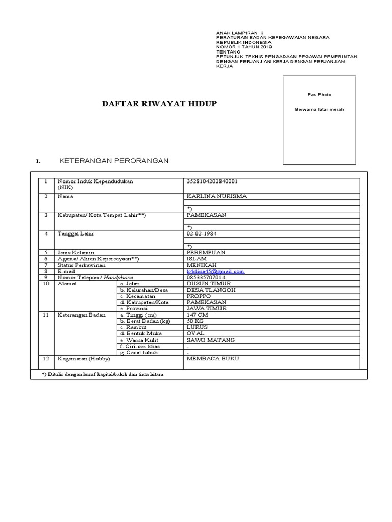 Daftar Riwayat Hidup PPPK | PDF