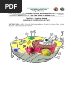 Cell Transport Concept-Map | PDF | Membrane Biology | Life Sciences