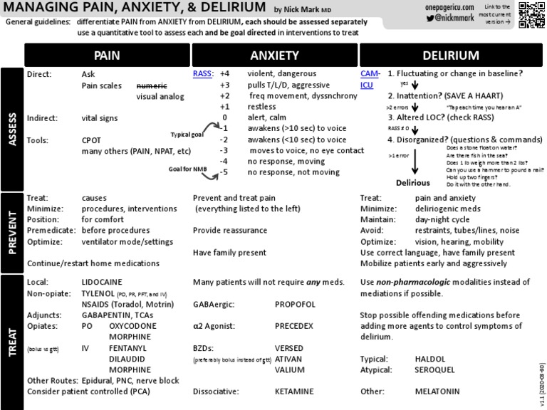 Pain Anxiety Delirium: Rass CAM ICU | PDF | Drugs Acting On The Nervous ...