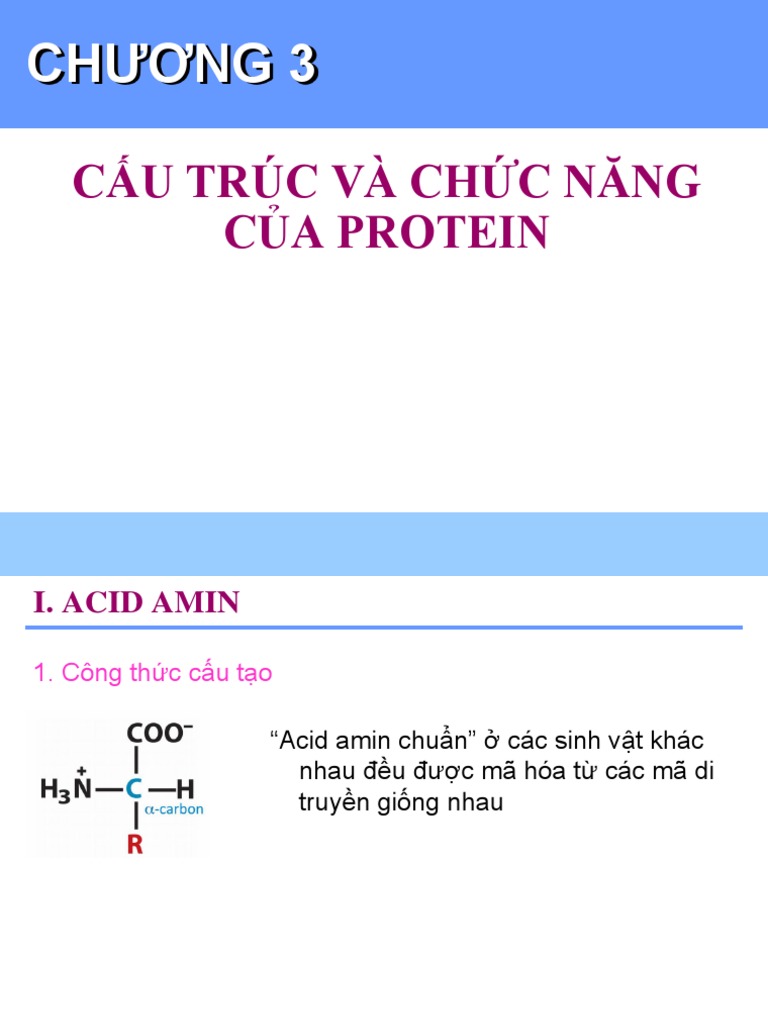 Chuong 3. Cau Truc Và Chuc Nang Cua Protein | PDF