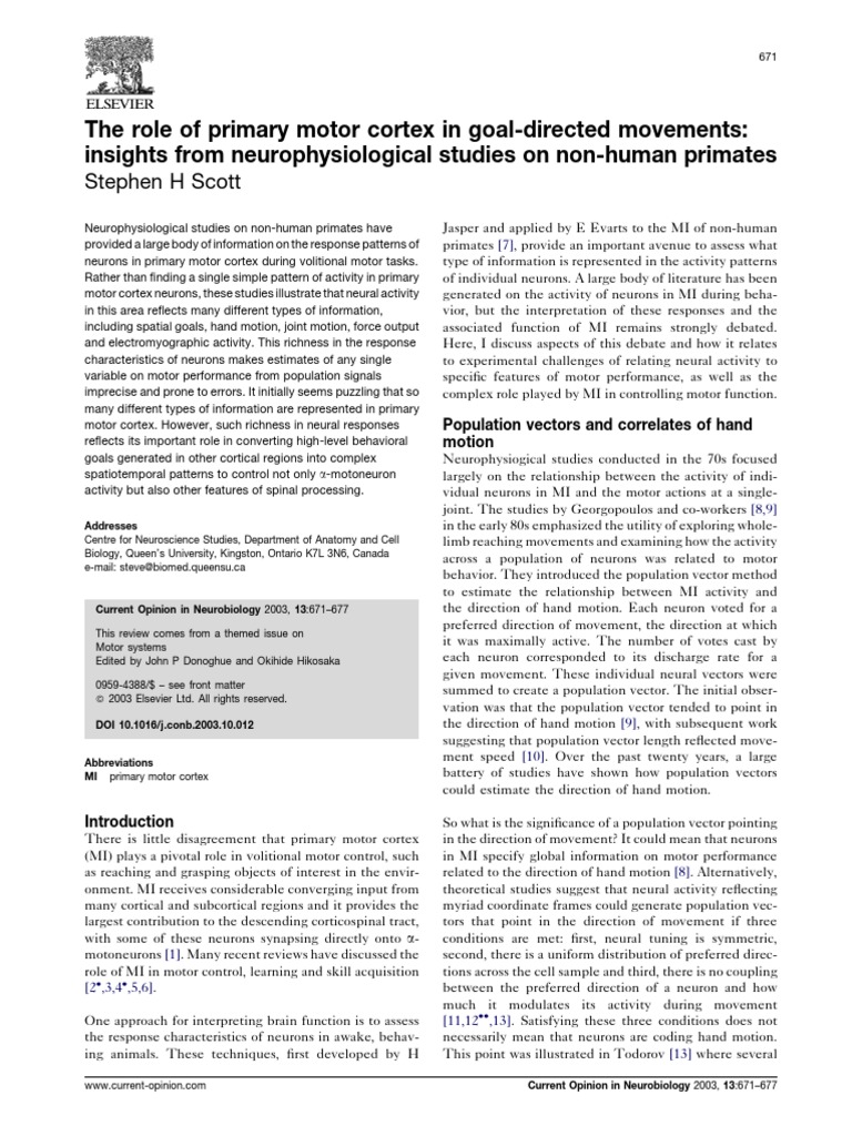 Primary Motor Cortex in Movement Control | PDF | Anatomical Terms Of ...