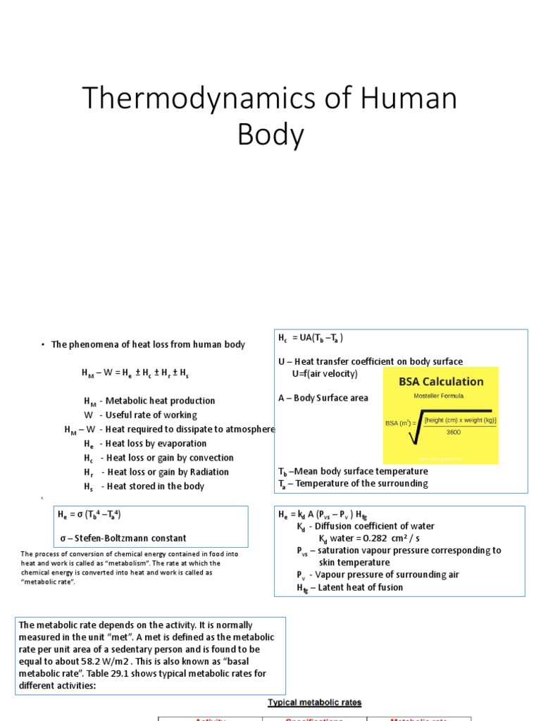 Thermal Comfort and Design Conditions for Human Thermoregulation | PDF ...