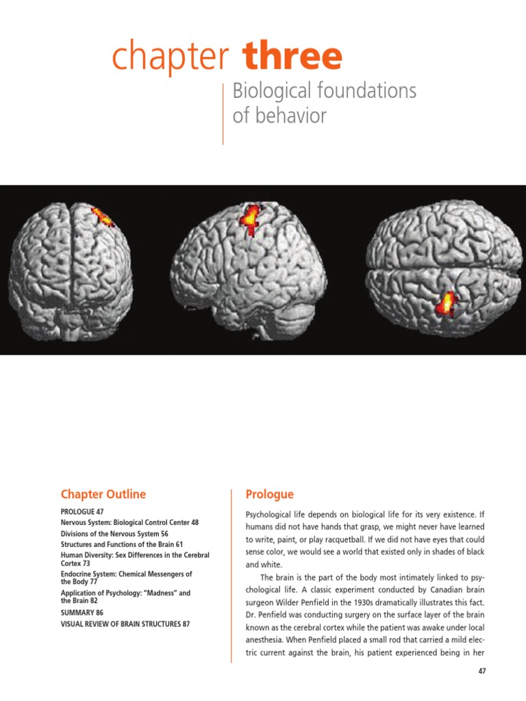 Three: Biological Foundations of Behavior | PDF | Neurotransmitter | Neuron