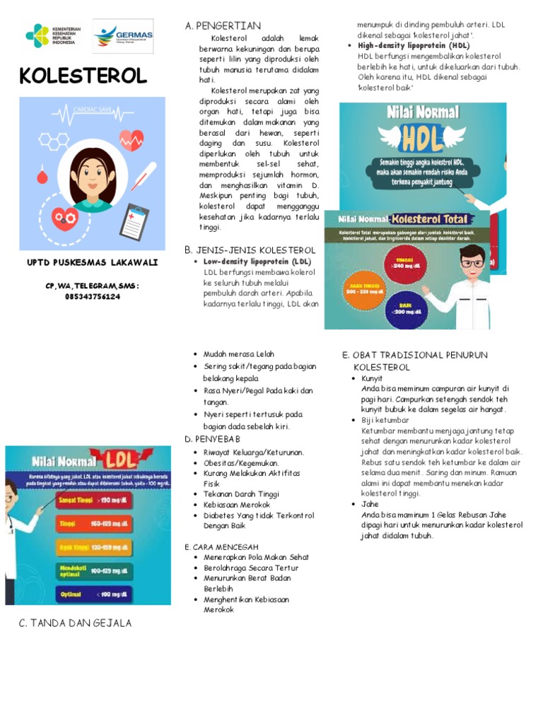 Leaflet Kolestrol | PDF