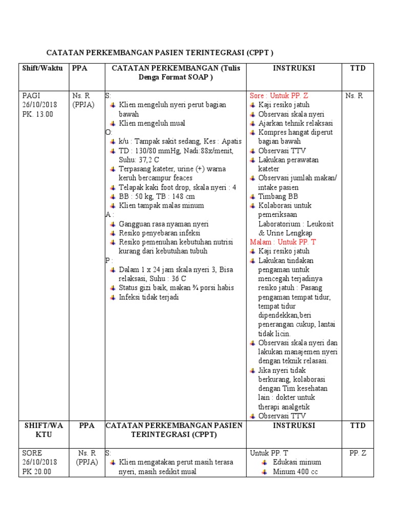 Contoh CPPT Perawat dan Penulisan SOAP | PDF
