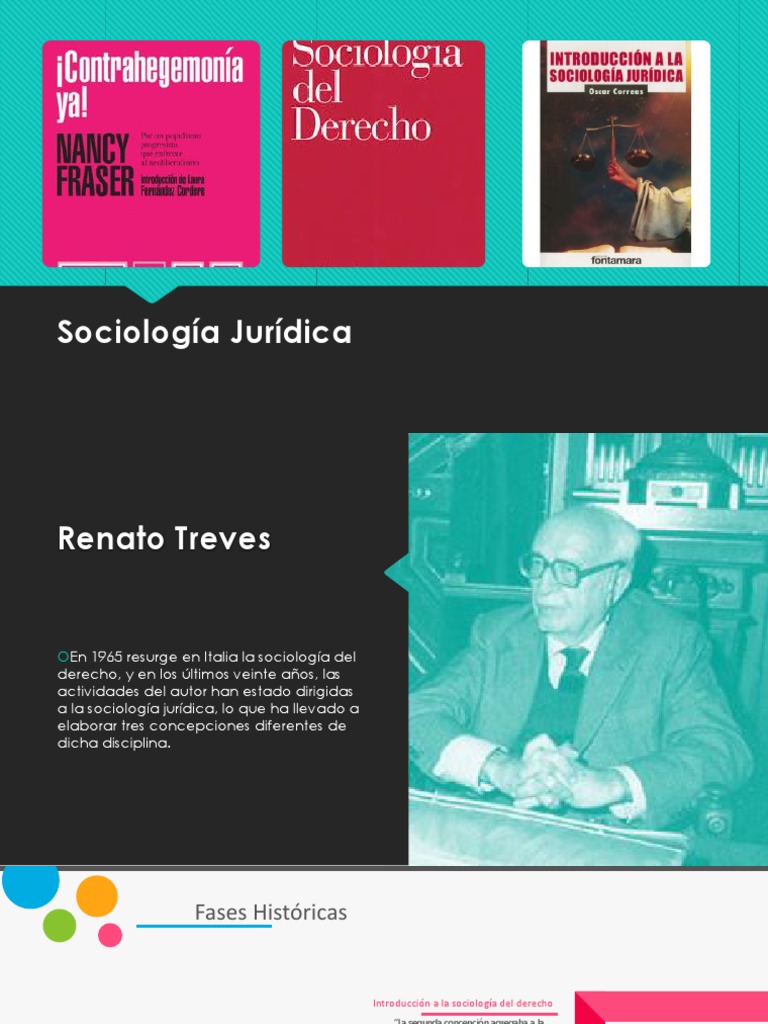 Sociología Jurídica: Enfoques de Treves | PDF | Sociología | Teoría