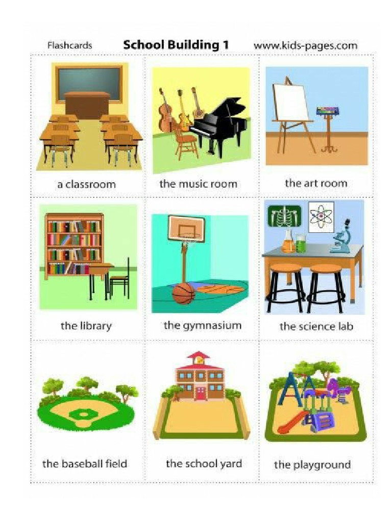 Partes Del Colegio | PDF