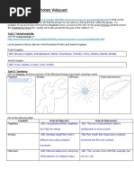 Plant Classification Worksheet | PDF | Plants | Leaf