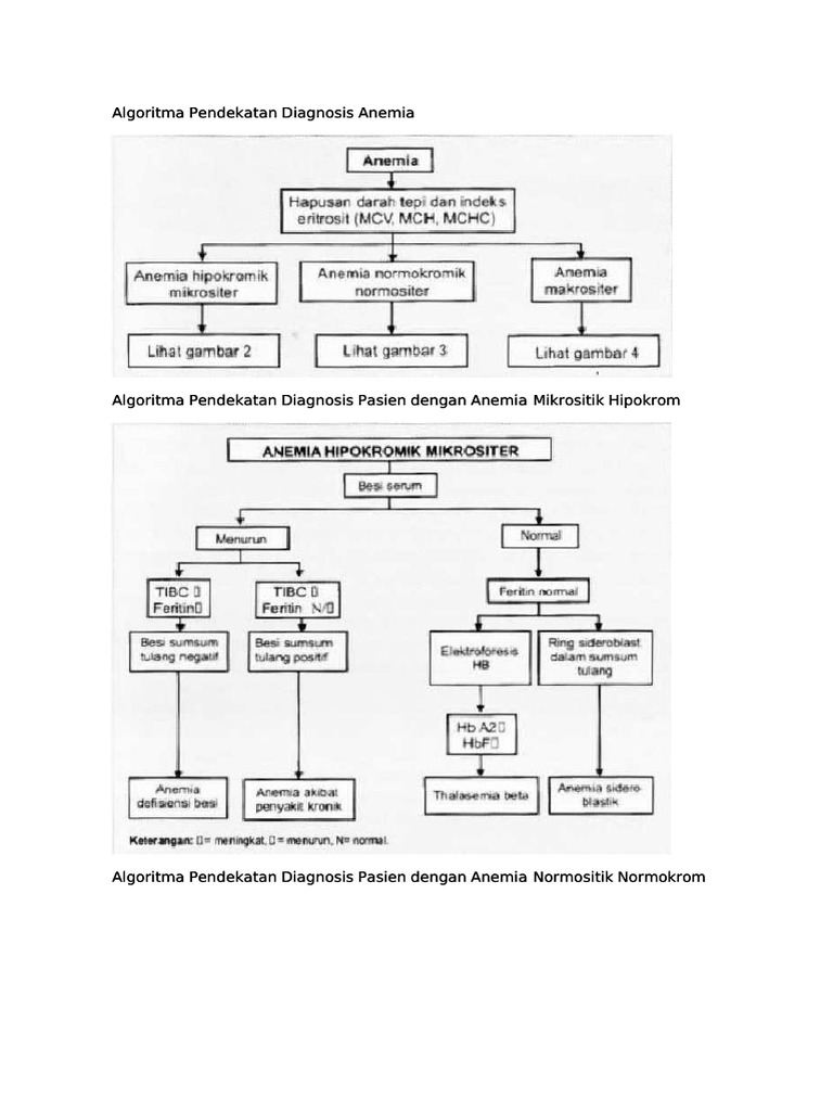 Algoritma Diagnosis Anemia Terperinci | PDF