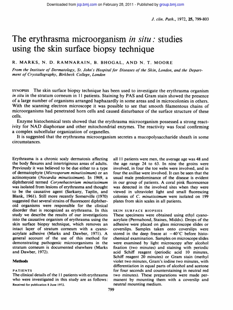 J Clin Pathol 1972 Marks 799 803 | PDF | Scanning Electron Microscope ...