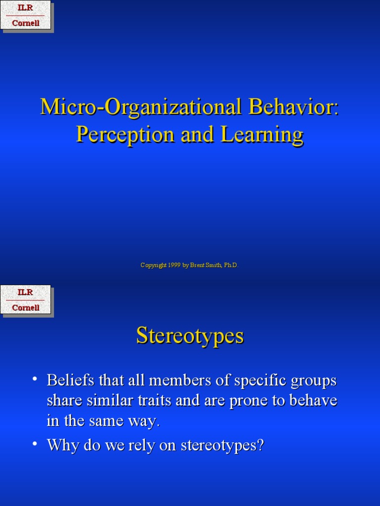Micro-Organizational Behavior: Perception and Learning | PDF ...