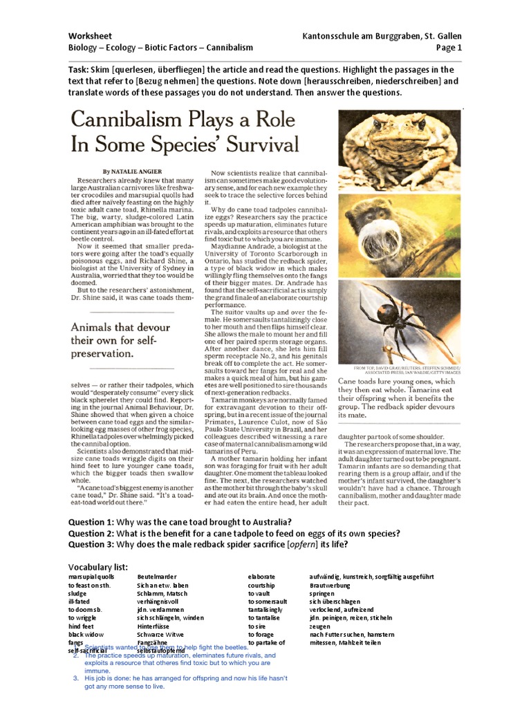 Ecology Worksheet: Cannibalism Insights | PDF | General Fiction