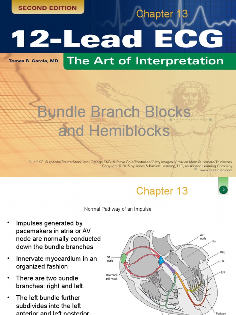 Ch13 BBB & Hemiblocks | PDF | Electrocardiography | Physiology