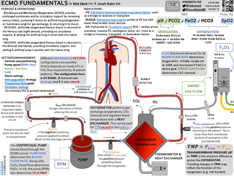 ICU One Pager ECMO Fundamentals | PDF | Circulatory System ...
