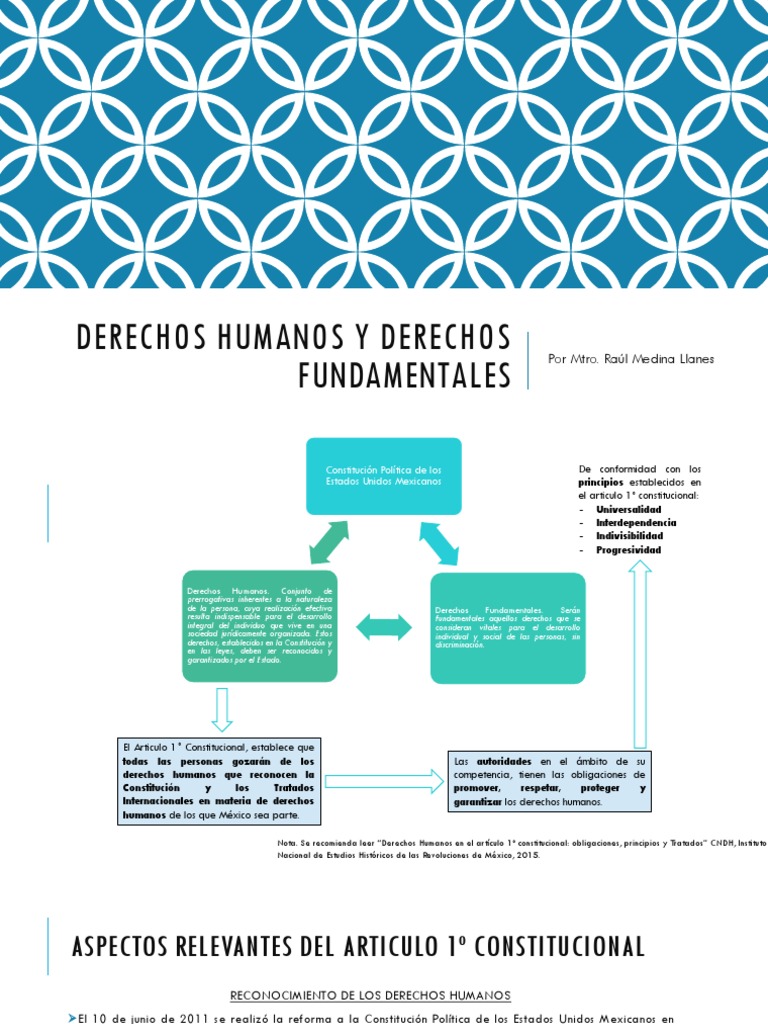 Los Derechos Humanos Y Fundamentales Según El Artículo 1