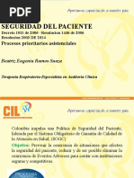 Triptico Aesp Laila Villegas | PDF | Seguridad del paciente | Medicina CLINICA