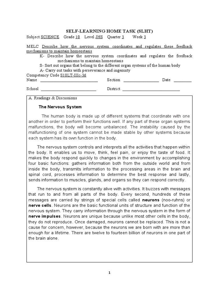 Self-Learning Home Task (SLHT) : The Nervous System | PDF | Neuron ...