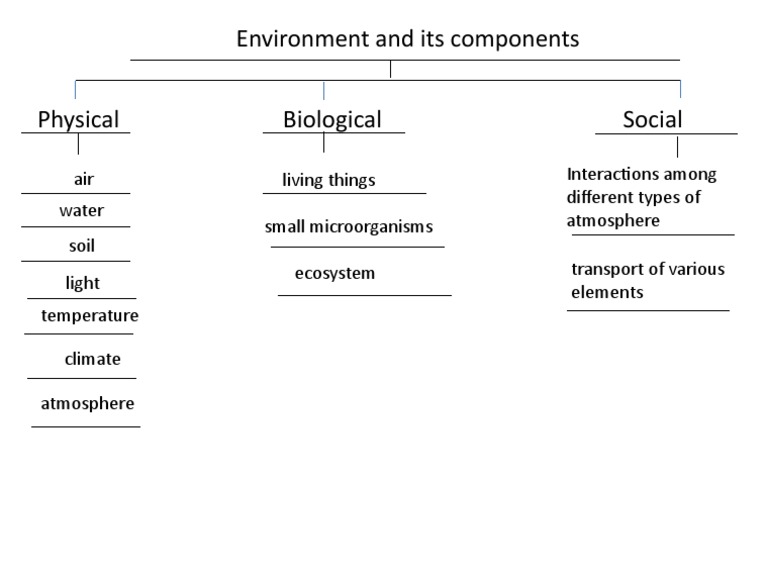 Environment and Its Components | PDF | Science & Mathematics ...