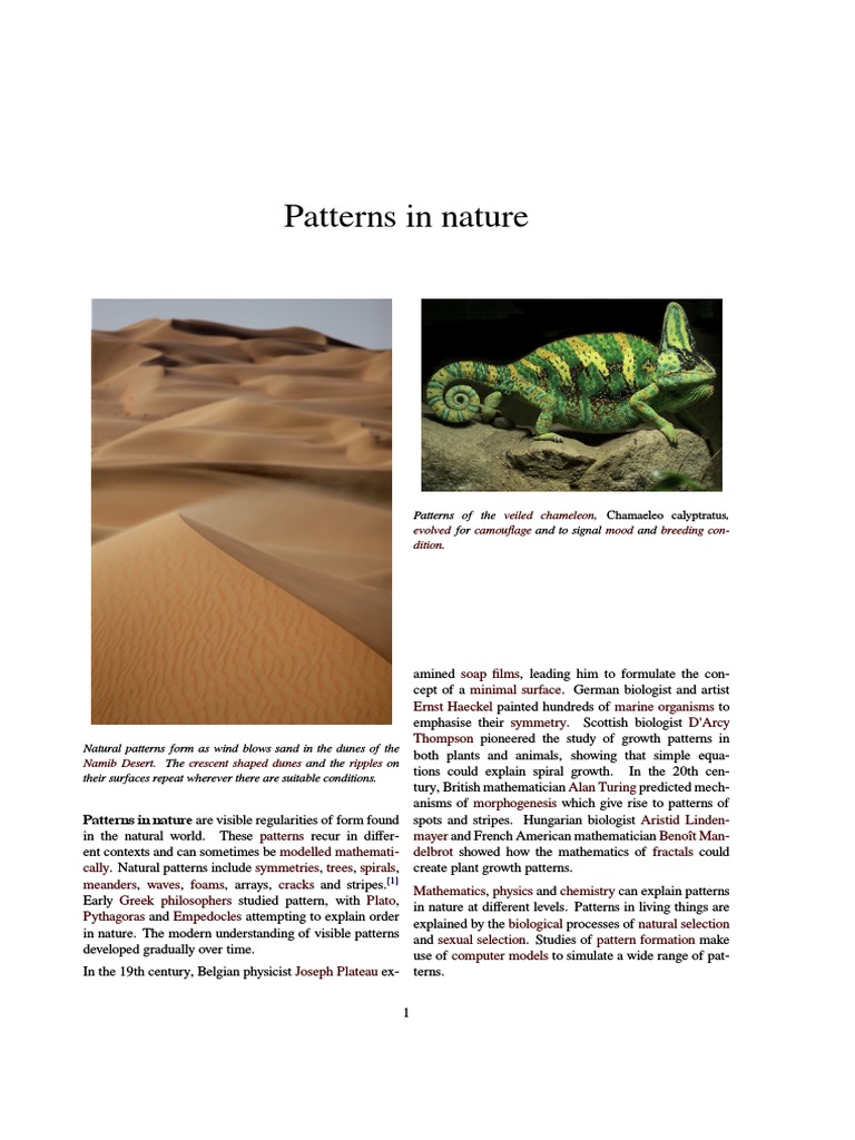 1 Patterns in Nature | PDF
