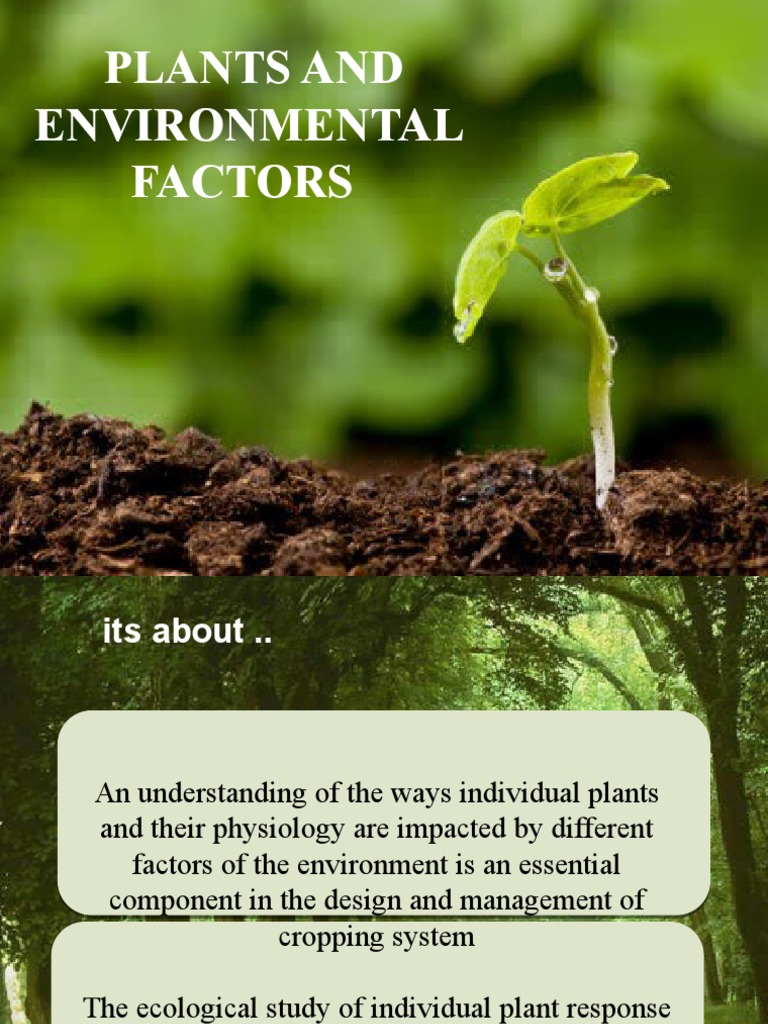Plants and Environment Factors-1 | PDF | Photosynthesis | Stoma