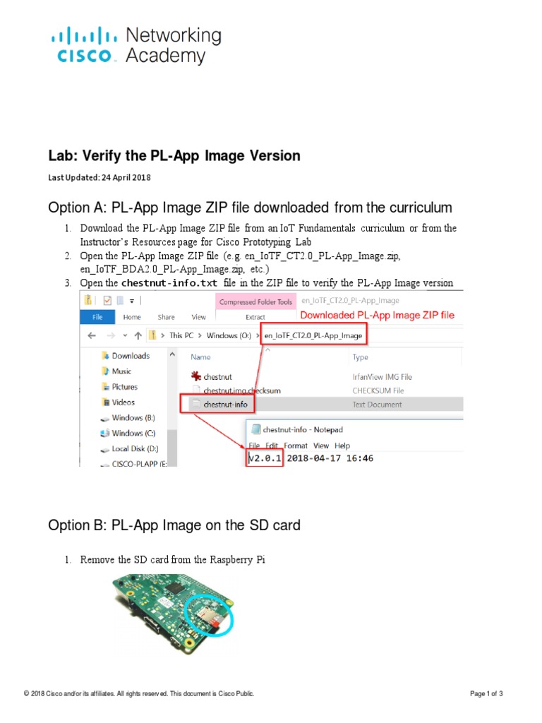 Lab: Verify The PL-App Image Version | PDF