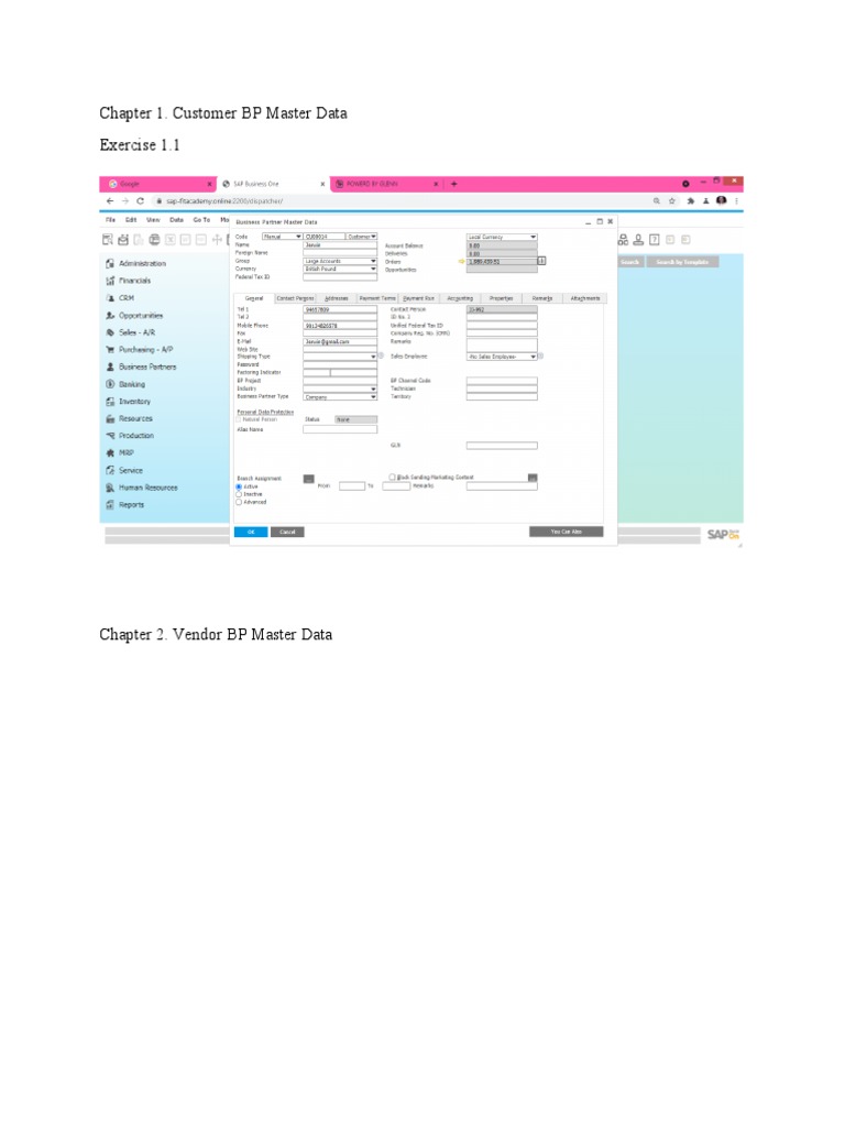Chapter 1. Customer BP Master Data Exercise 1.1 | PDF