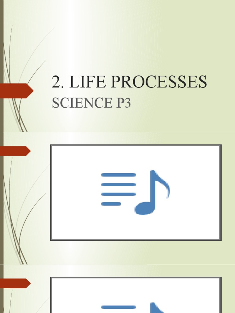 Life Processes: Science P3 | PDF
