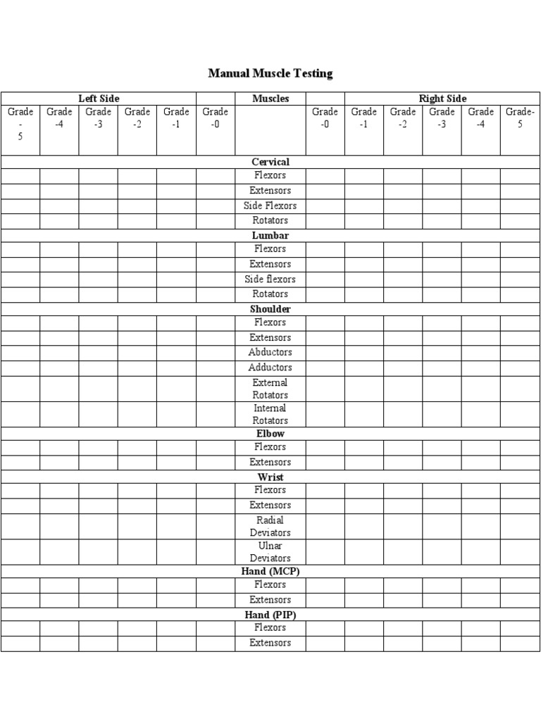 Manual Muscle Testing: Left Side Muscles Right Side | PDF | Anatomical ...