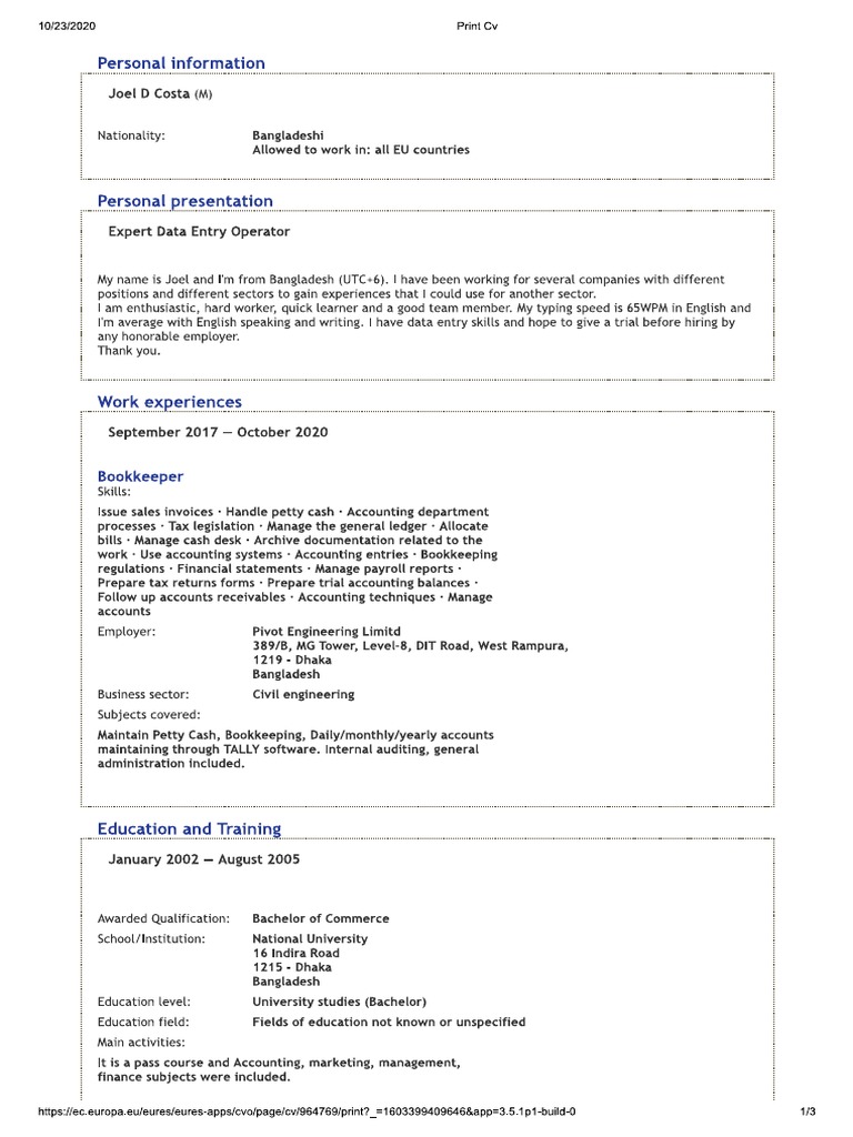Eures CV Format | PDF