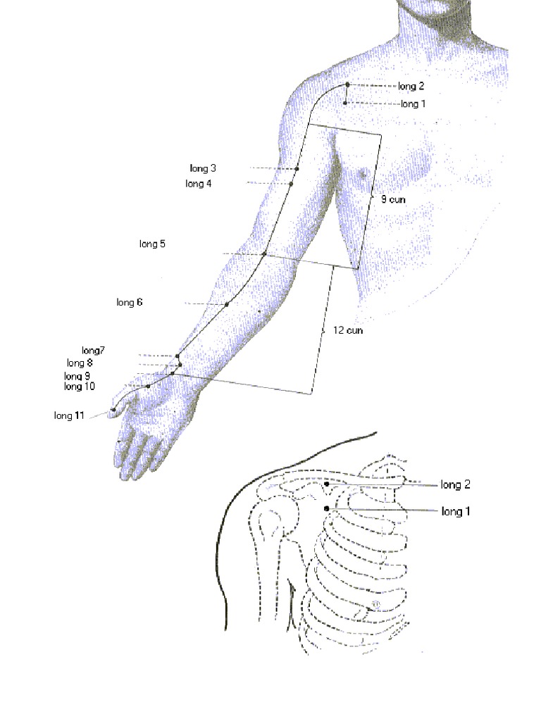 De Maagmeridiaan | PDF