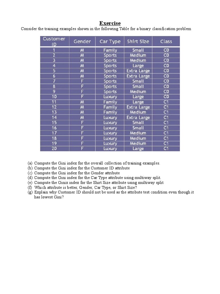 Exercise Classification | PDF