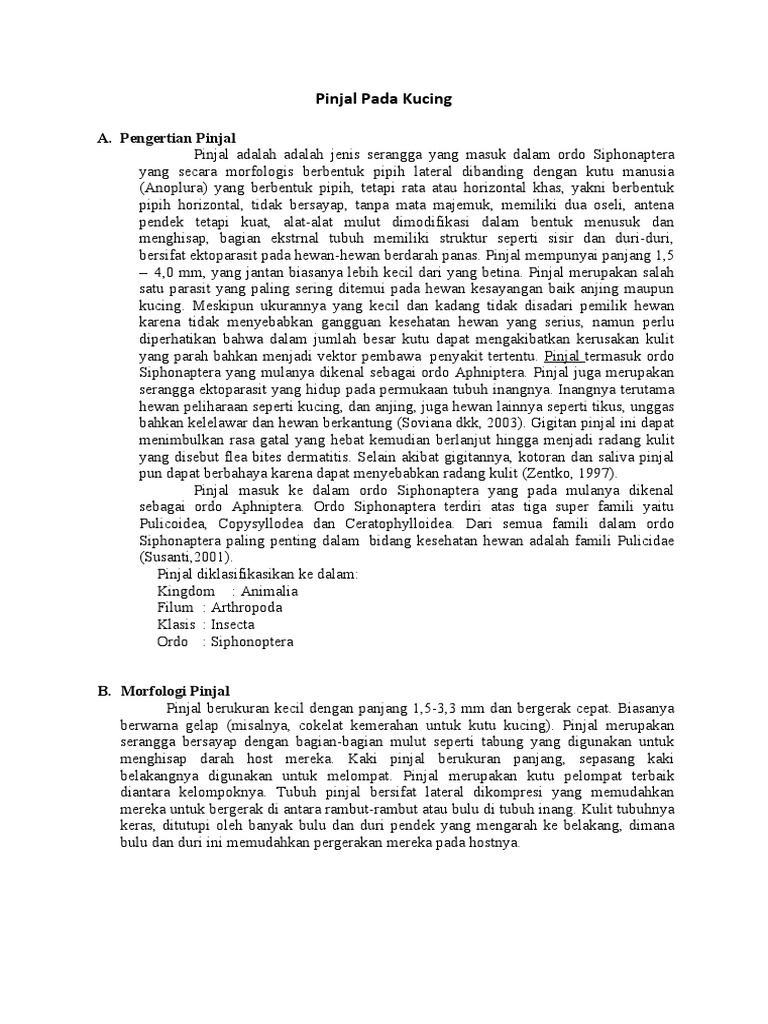 Pinjal Pada Kucing | PDF