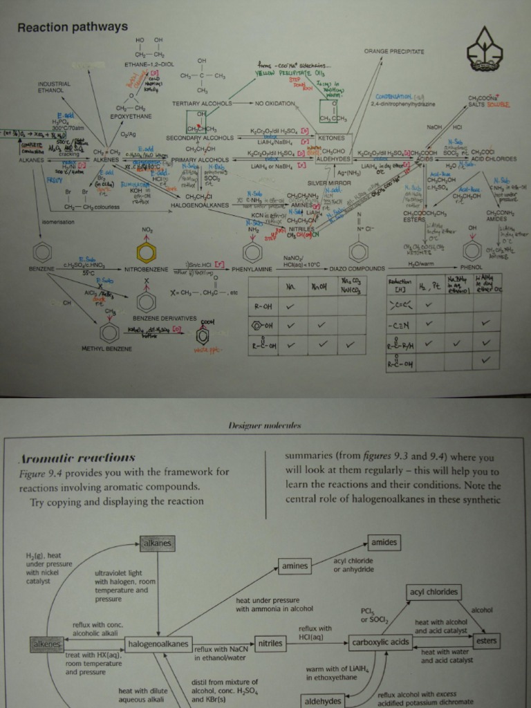 Ultimate Organic Chemistry Mindmap 9746 | PDF