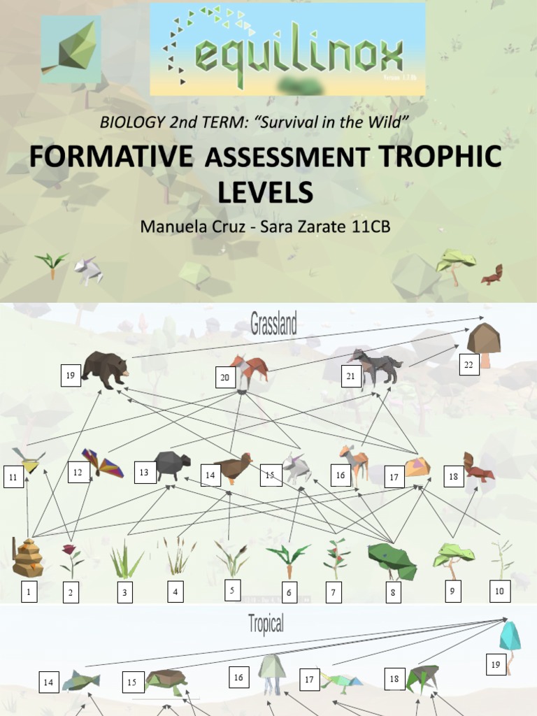 Trophic Levels | PDF | Home & Garden