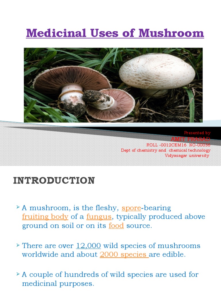 Presentation On Mushroom | PDF | Mushroom | Edible Mushroom