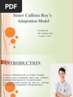 Roy's Adaptation Model | PDF | System | Self Concept