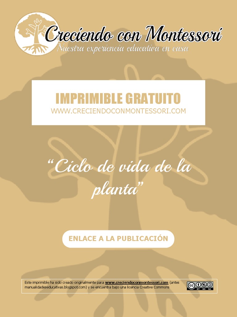 CM - Ciclo de La Vida de La Planta | PDF | Germinación | Planta de ...