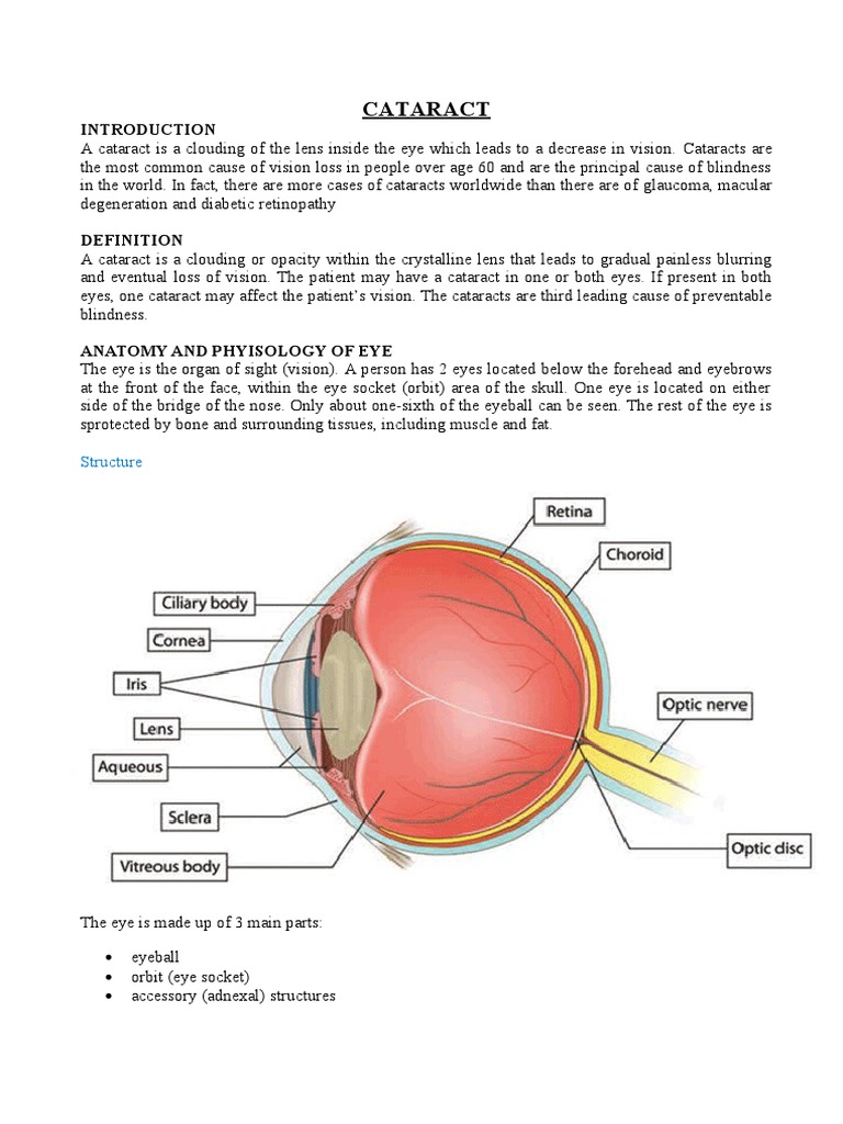 Topic Presentation Cataract | PDF | Cataract | Retina