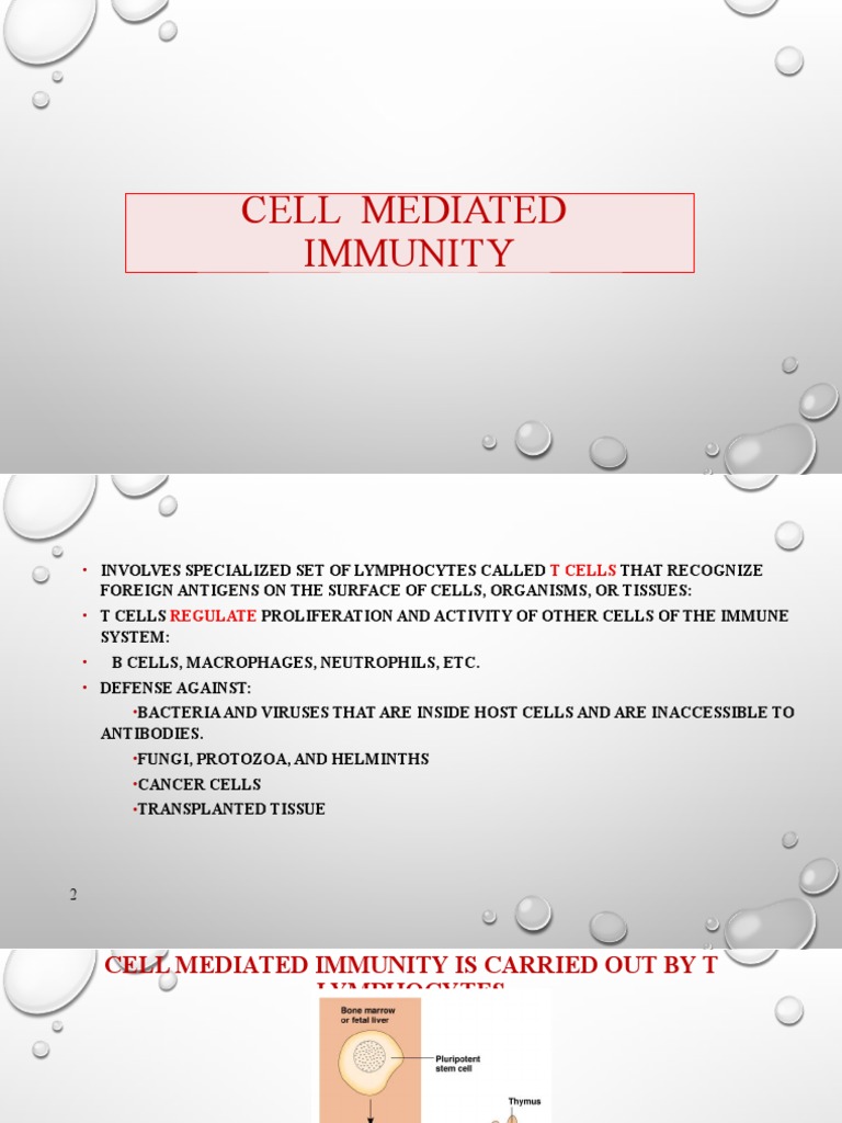 Cell Mediated Immunity Lect | PDF | Immune System | Antigen
