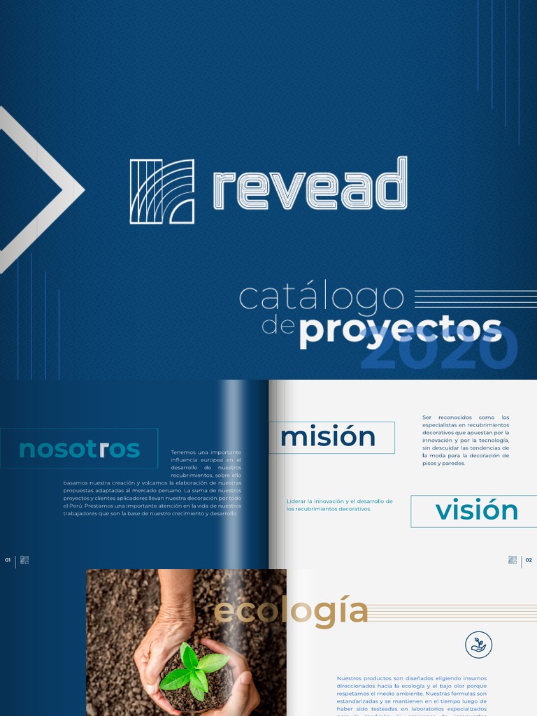 Catalogo Proyectos Revead 2021 | PDF