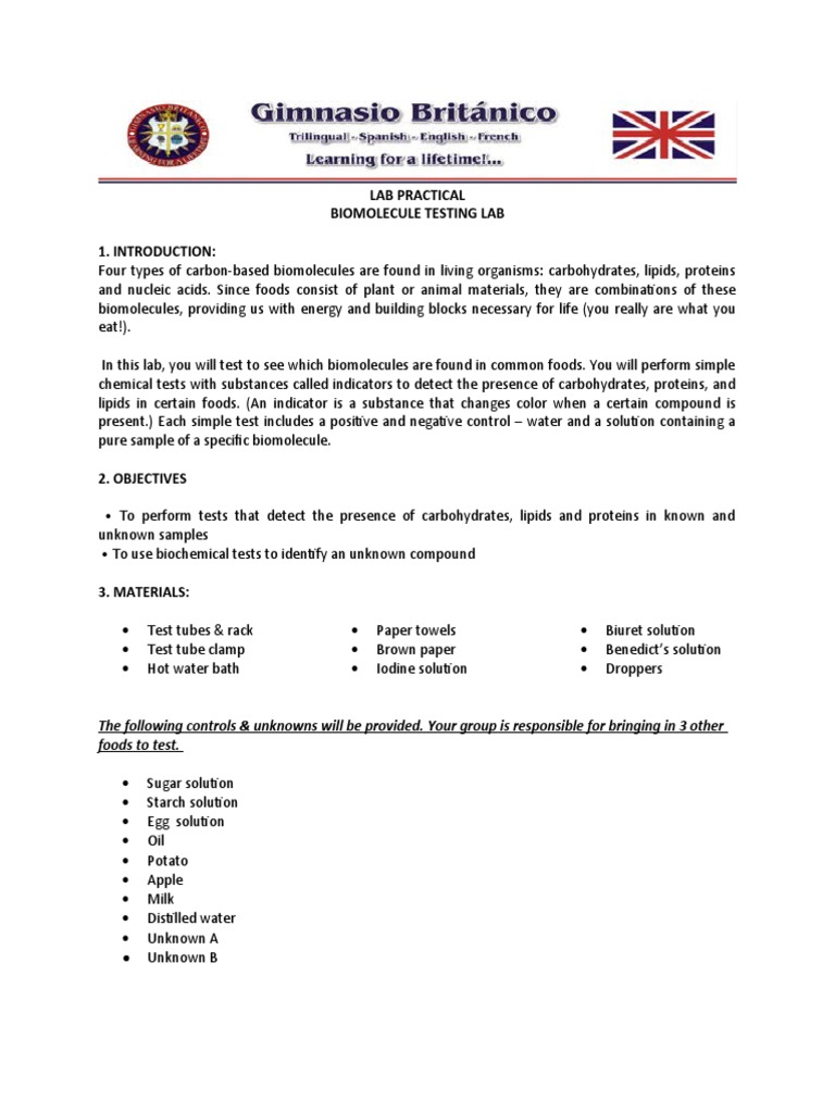 Biomolecule Testing Lab Activity | PDF | Carbohydrates | Biomolecules